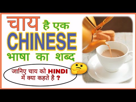 चाय को हिंदी में क्या कहते हैं ? | interesting Gk | chai in hindi | चाय chinese word | tea in hindi