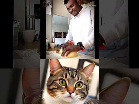 having fun 💀 #cat #memes #funny #trending
