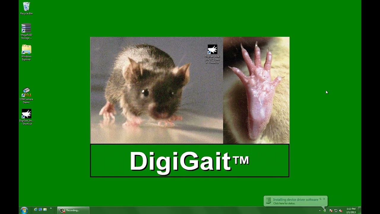Software Installation: DigiGait Installation Video Manual