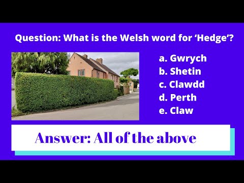 Why does the Welsh language use 5 different words for the same thing?