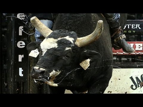 MONSTER MONEY BULL: Rock & Roll dumps J.B. Mauney (PBR)