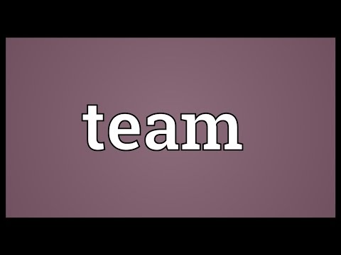Team Meaning
