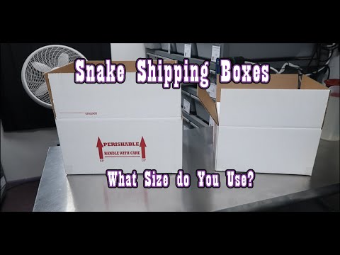Different Size Shipping Boxes for Ball Pythons