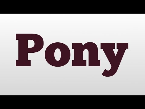 Pony meaning and pronunciation