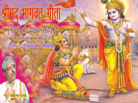 Shrimad Bhagwat Geeta अध्याय 15 || Meaning In Hindi || Somnath Sharma #SpiritualActivity