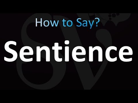How to Pronounce Sentience (correctly!)