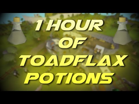 Making Toadflax Potions | Testing OSRS Wiki Money Making Methods