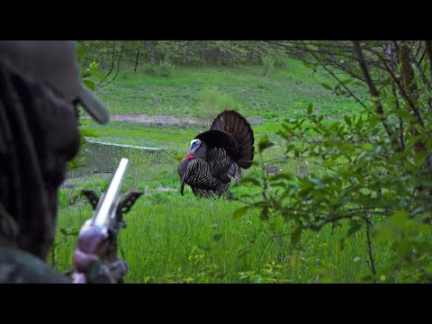 My MOST Incredible Turkey Hunt