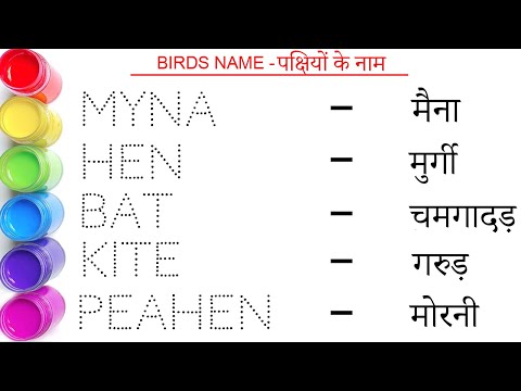 पक्षियों के नाम || Birds name in hindi and english || Birds Name || study centre