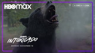 Oso intoxicado - película: Ver online en español