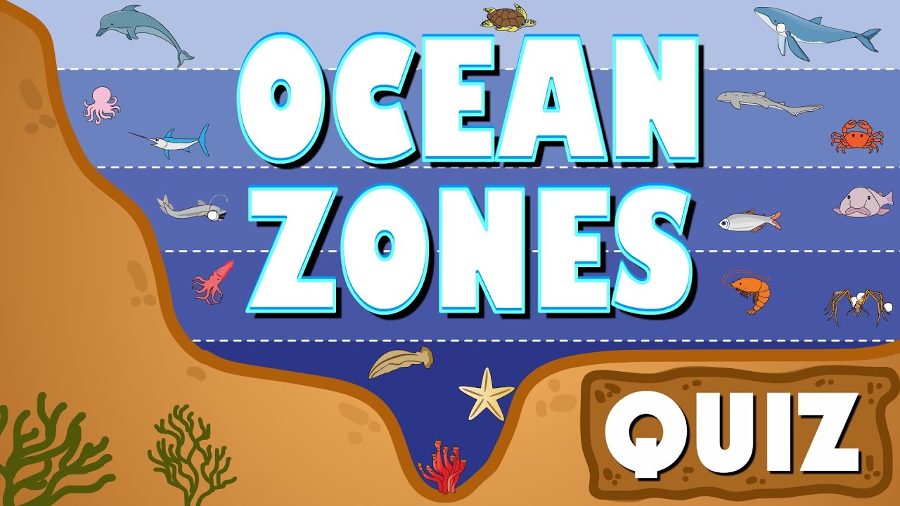 The Ocean Zones Quiz: Journey from Sunlit Shores to Deep Trenches | The Five Layers of the Ocean
