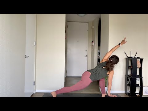60 min. Vinyasa Yoga Flow (Playlist in Description)
