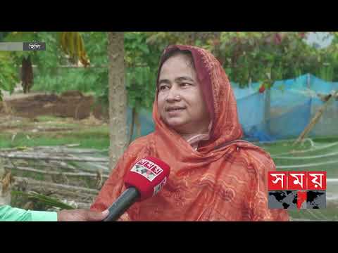 ইউটিউব দেখে গরুর খামার করে ঘুরে দাঁড়িয়েছেন জেসমিন Cow Farming Hili News