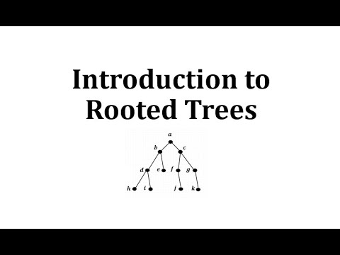 Introduction to Rooted Trees | Math Help from Arithmetic through ...