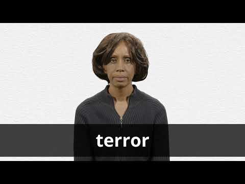How to pronounce TERROR in American English
