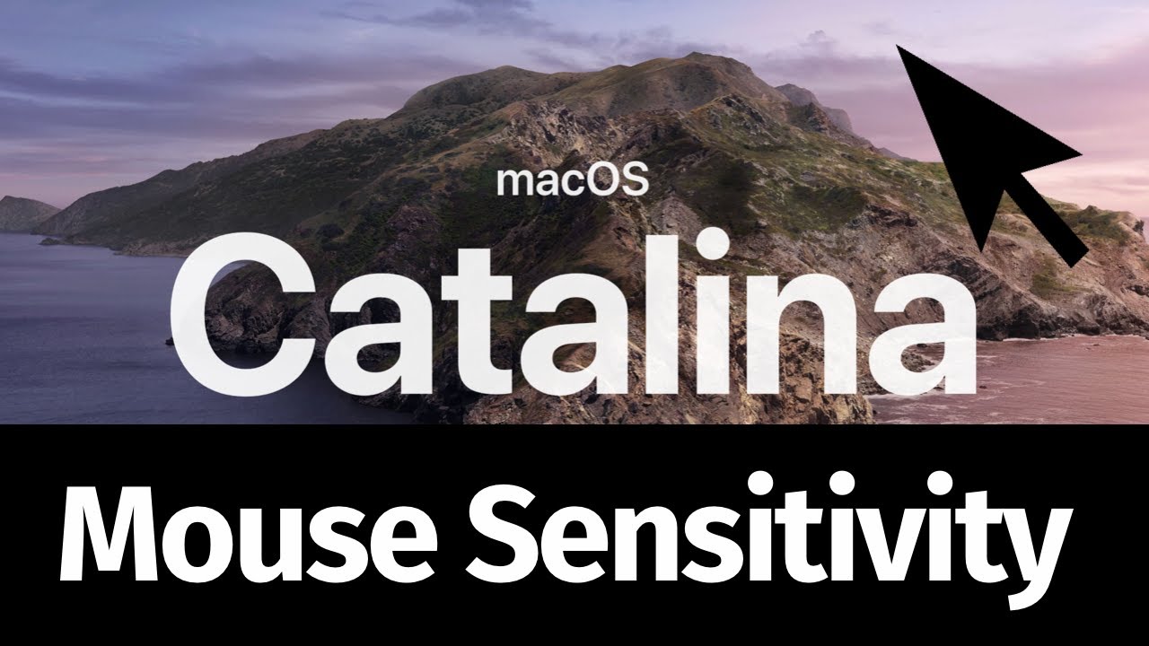 How to Change Mouse Sensitivity on macOS Catalina