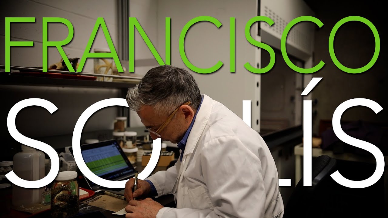 Taxonomy of Echinoderms - Dr. Francisco A. Solís | Researchers Revealed - Beaty Museum UBC