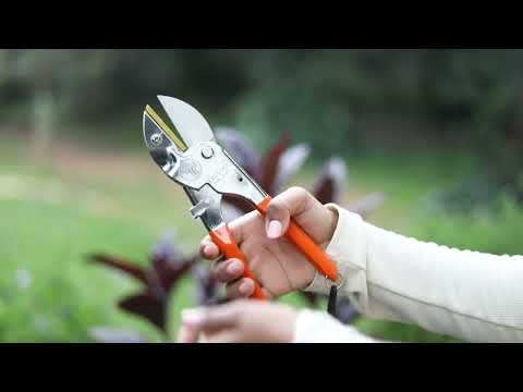 Falcon Super Pruning Secateur (Steel, Multicolor)