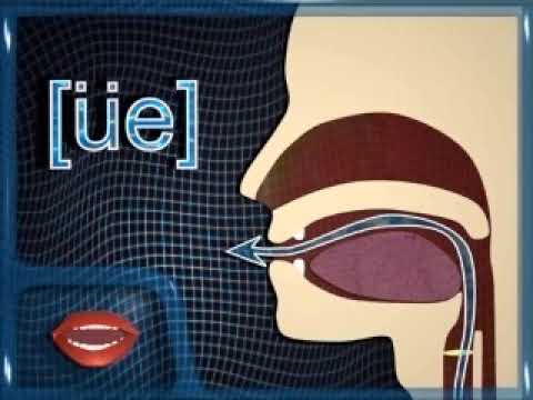 Learn Chinese pronunciation --üe(yue)