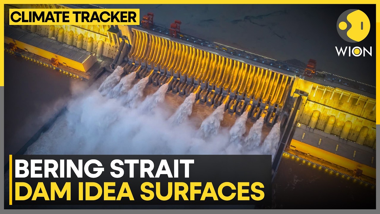 Bering Strait Mega Dam? Scientists Warn AMOC Collapse Risk Is Growing | WION Climate Tracker