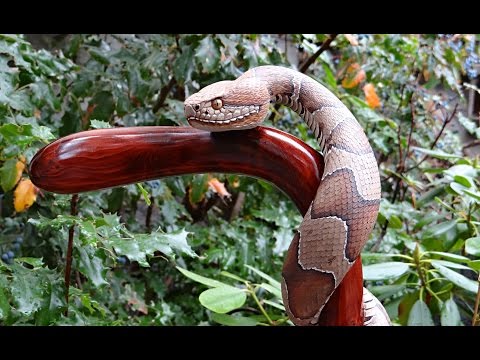 The Making of Carved Snake Stick 55 – Stinnett Sticks