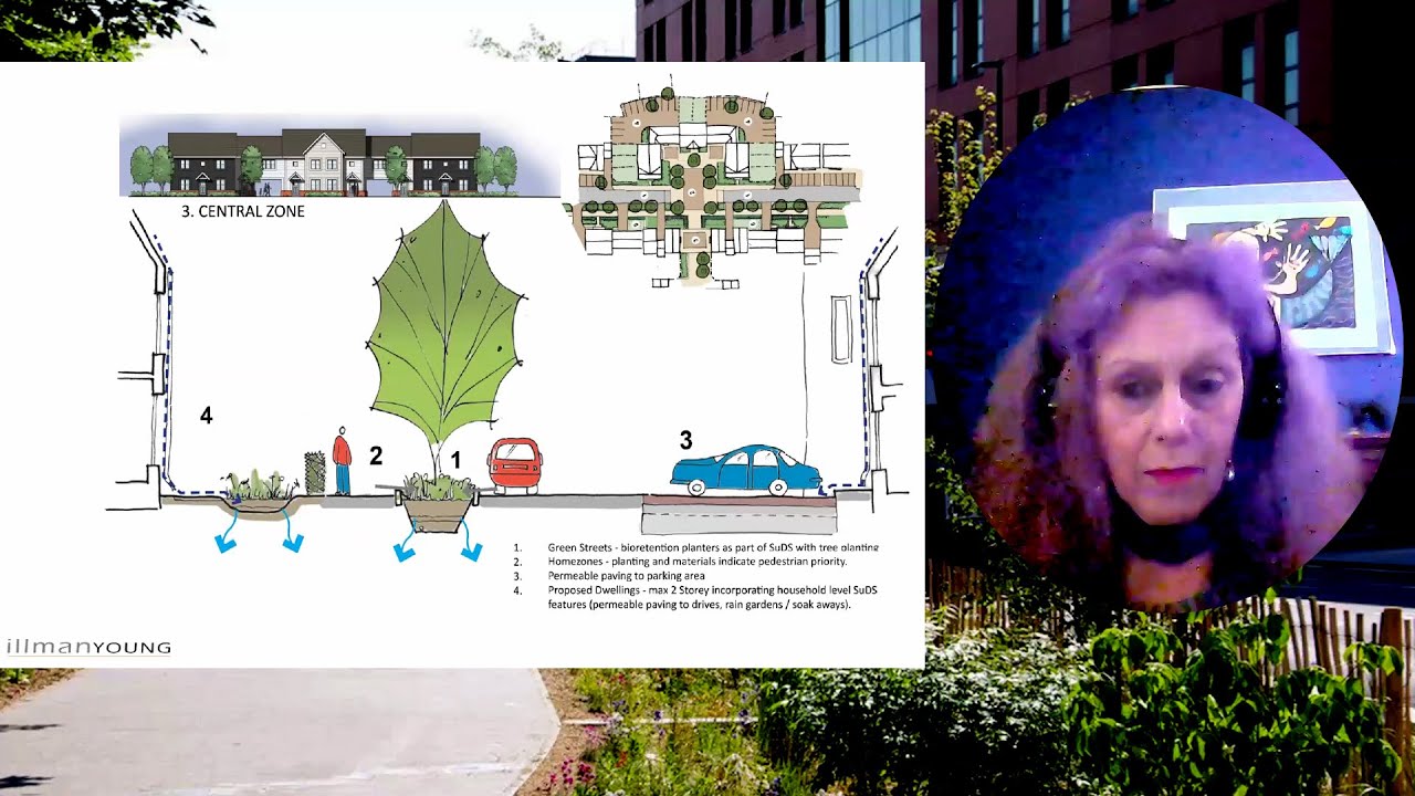 Sustainable Drainage Systems (SuDS) and the National Model Design Code
