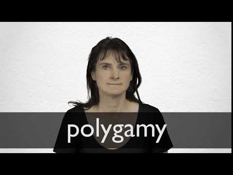 POLYGAMY definition and meaning | Collins English Dictionary