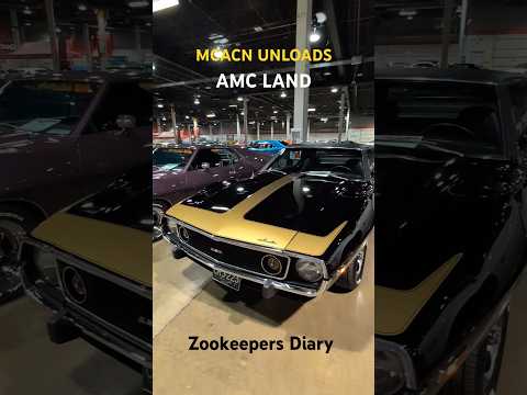 Zookeepers Diary #MCACN Unloads AMC AMC American Motors display #cars cutaway engine