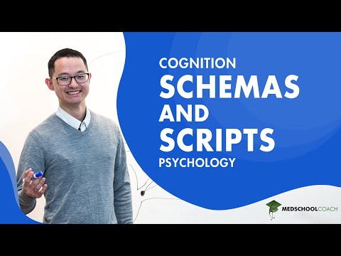Schemas and Scripts for Cognition