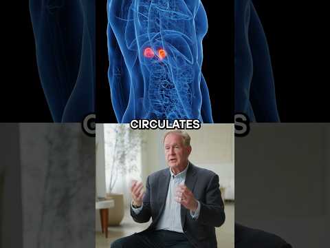 How Cortisol, the Stress Hormone, Impacts Blood Sugar and Health | Dr. Robert Lustig