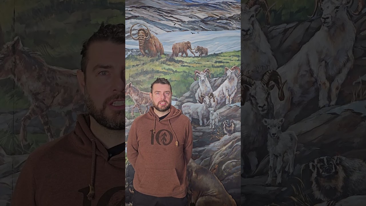 Discovering Careers in Archaeology with Christian Thomas #ArchaeoStart