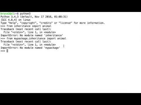 placing your packages on PYTHONPATH