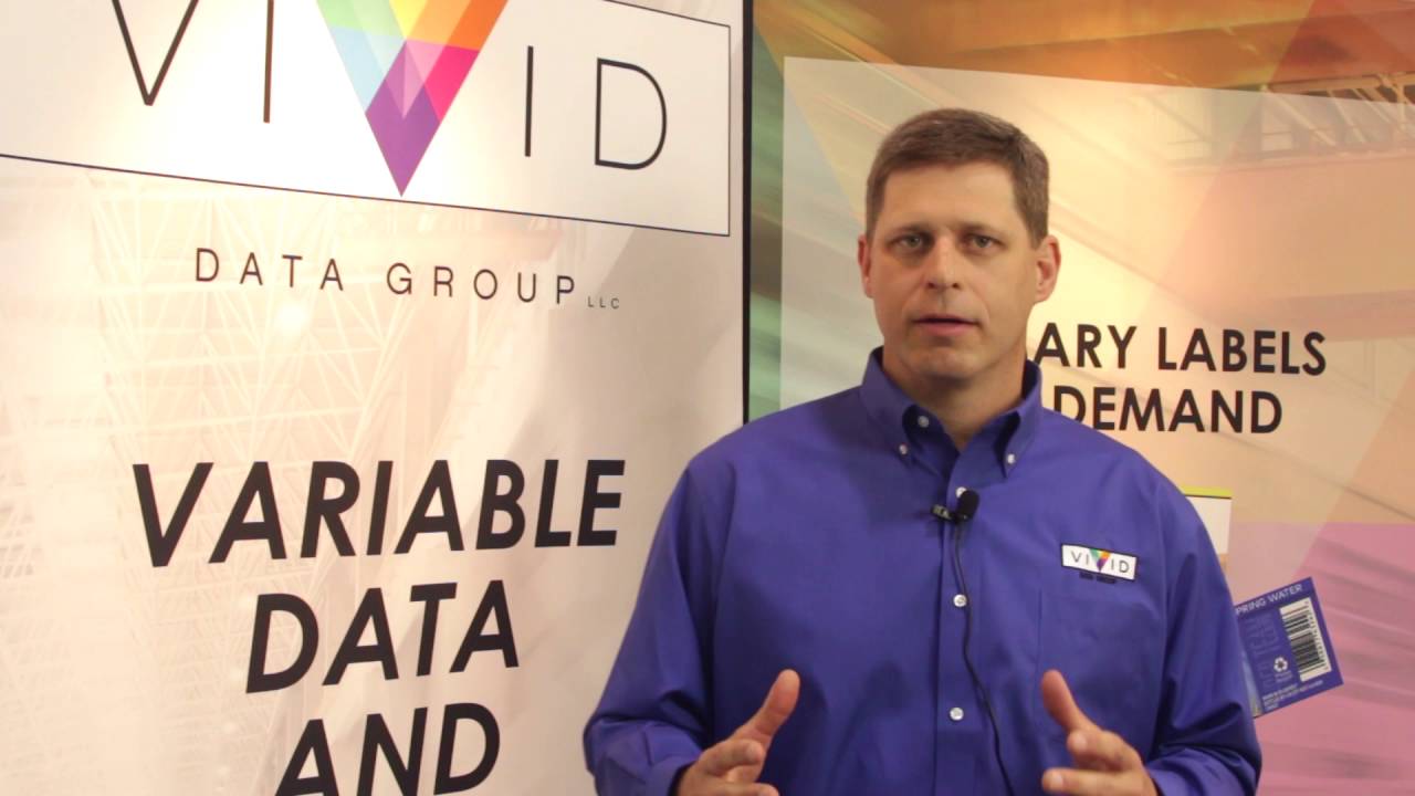 Introduction to Vivid Data Group