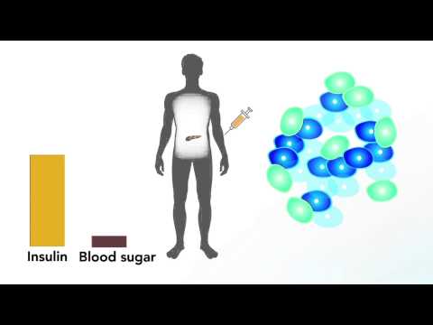 Common blood pressure drug reverses diabetes in mice