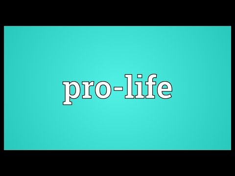 Pro-life Meaning