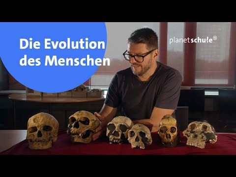 Our evolutionary journey: From apes to humans - How do we know? | planet schule