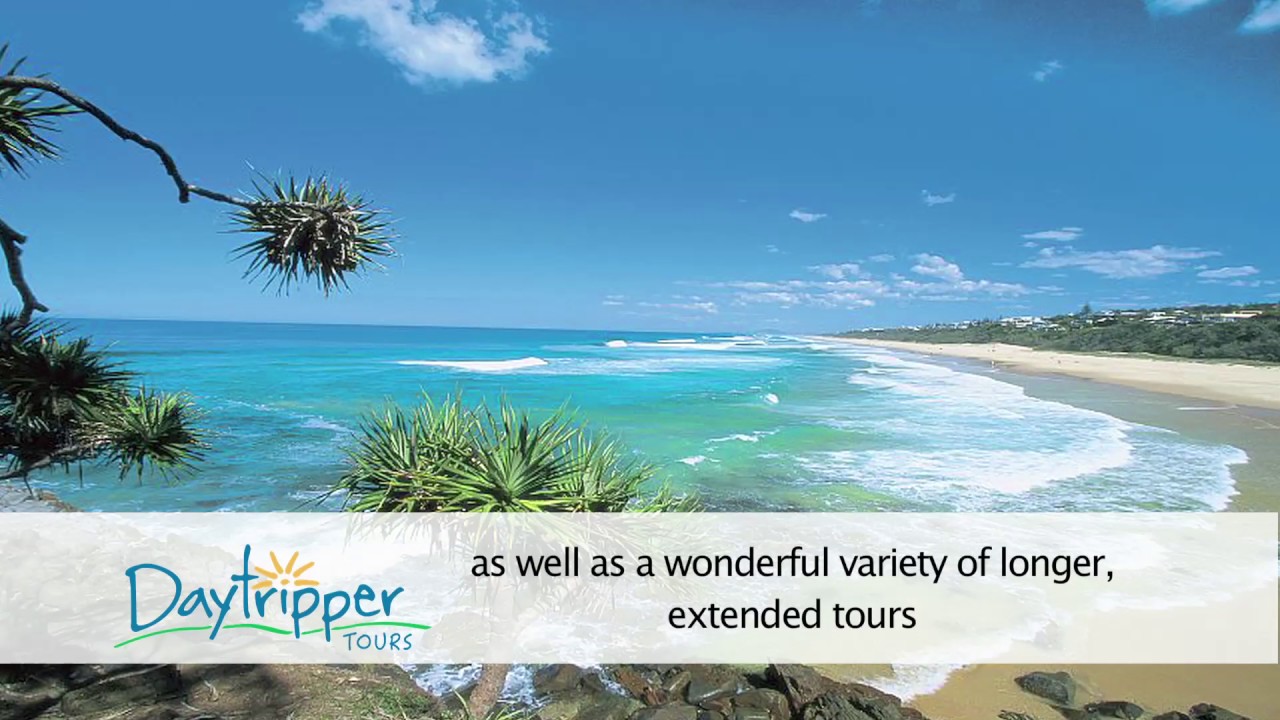 Daytripper Tours and Charters - Seniors Tour Specialists