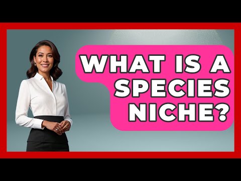 What Is A Species Niche? - Biology For Everyone