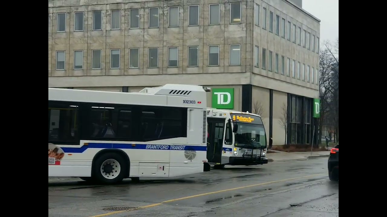 Brantford Transit 10083 Takeoff