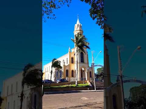 Vídeos do Congonhinhas | Tudo sobre o Congonhinhas Parana