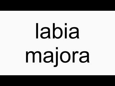 How to pronounce labia majora