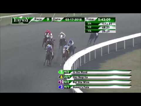 Fasig Tipton Kentucky Mixed Winter Sale Preview- Monday Feb 9 2020- By ...
