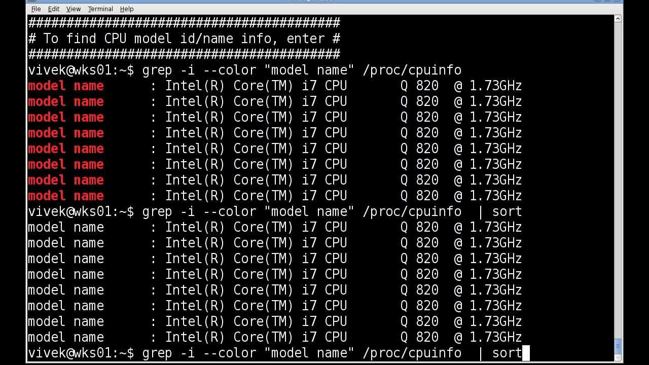 Linux Tutorial: Get CPU Information Command