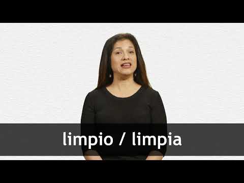 English Translation of “LIMPIO” | Collins Spanish-English Dictionary