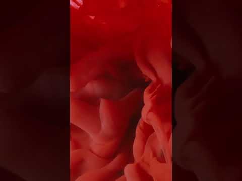 Red SMOKE Effect / FREE STOCK FOOTAGE / HQ VIDEO