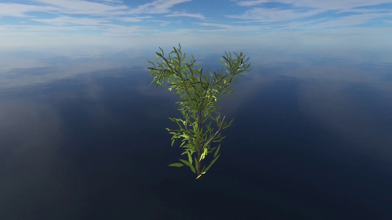 3D L System for plant generation