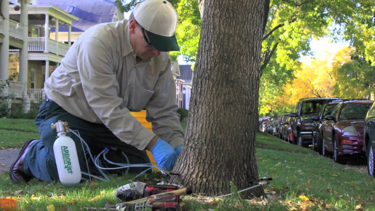 ArborJet   Horticulture Services Group