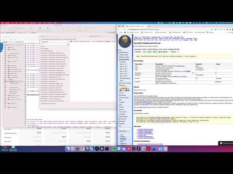 Filemaker Pro 19 MBS PDF Number Field Format