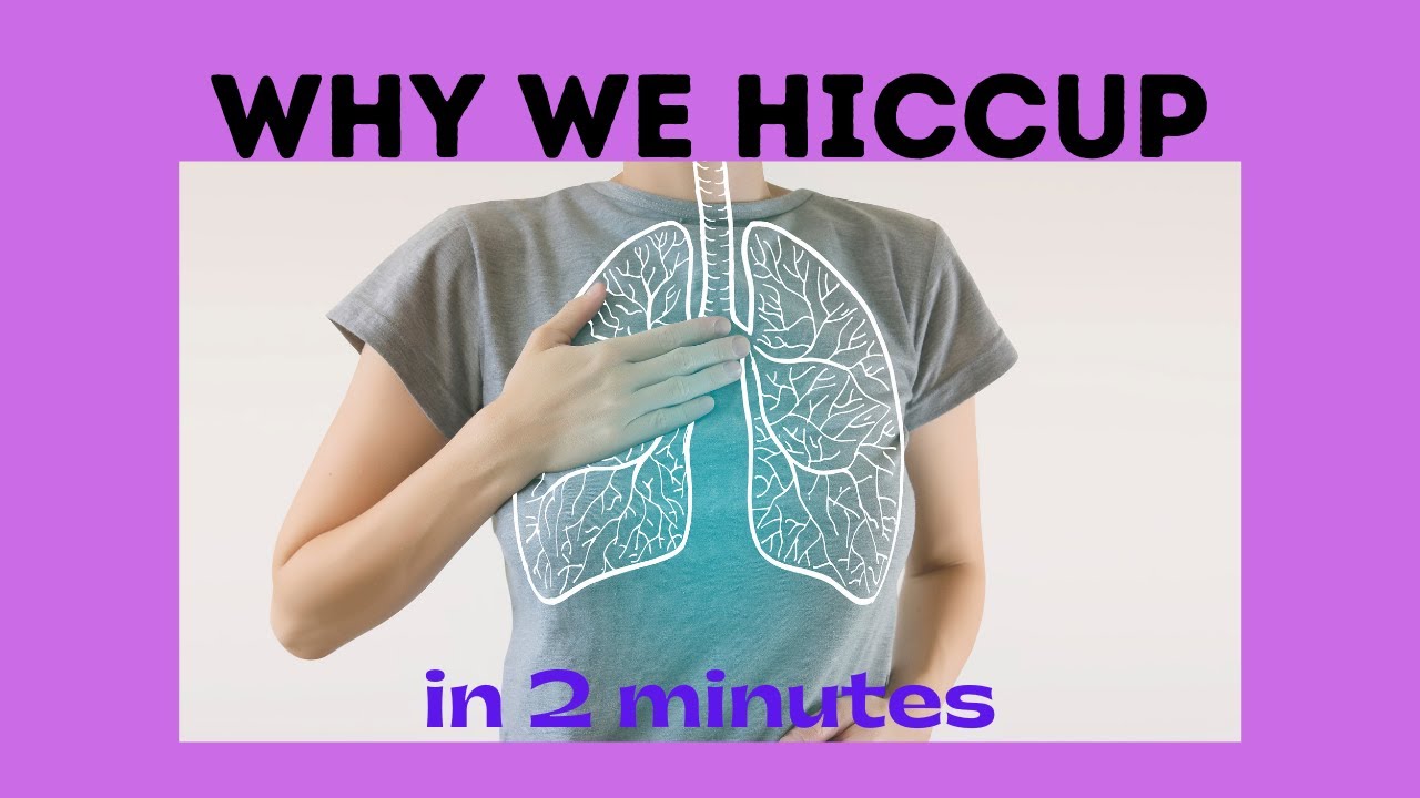 Why we hiccup in 2mins!