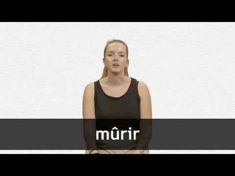 English Translation of “MÛRIR” | Collins French-English Dictionary